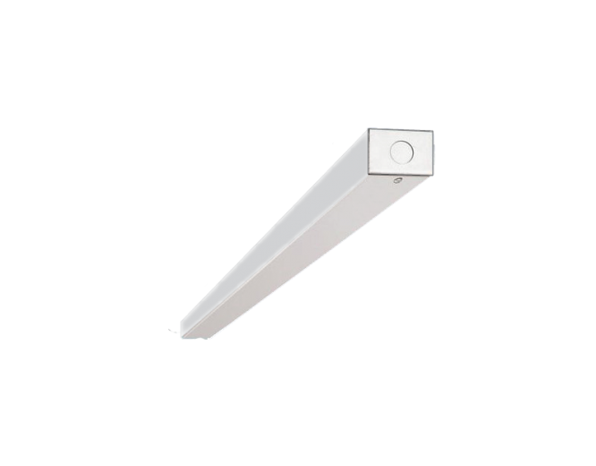 LED Strips | Saylite