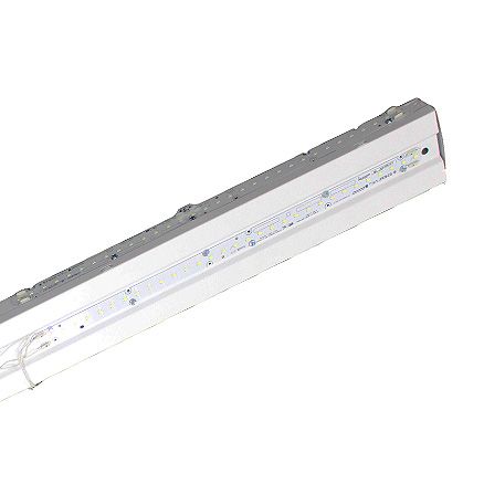 LED Strips | Saylite